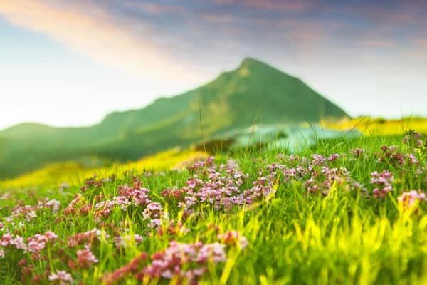 Le métier d'animateur-nature, spécialiste de l'animation